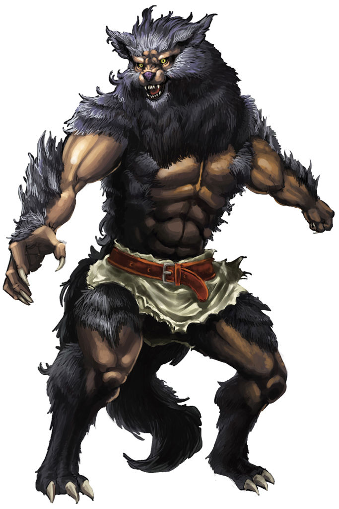 Elminage Gothic: Ritual of Darkness and Ulm Zakir Fiche RPG (reviews ...