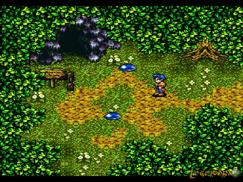 Brave Battle Saga - The Legend of The Magic Warrior Fiche RPG (reviews ...