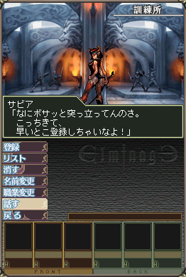 Elminage DS Remix: Yami no Fuo to Kamigami no Yubiwa Nintendo DS ...