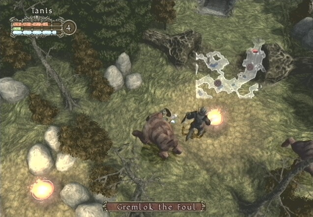 Champions of Norrath: Realms of EverQuest PlayStation 2 Screenshots ...